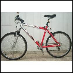 Raleigh m30 venta bicicleta btt