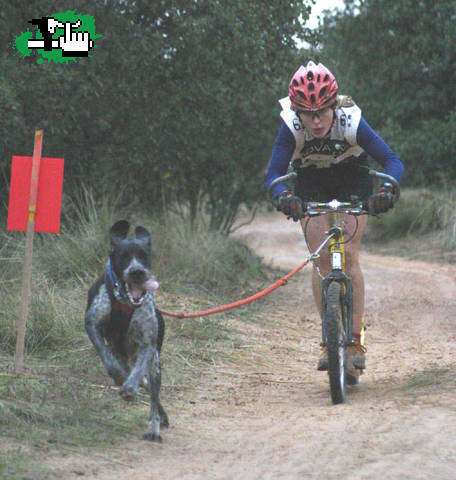 COMPETENCIAS DE BIKE JORING Bicicleta BTT