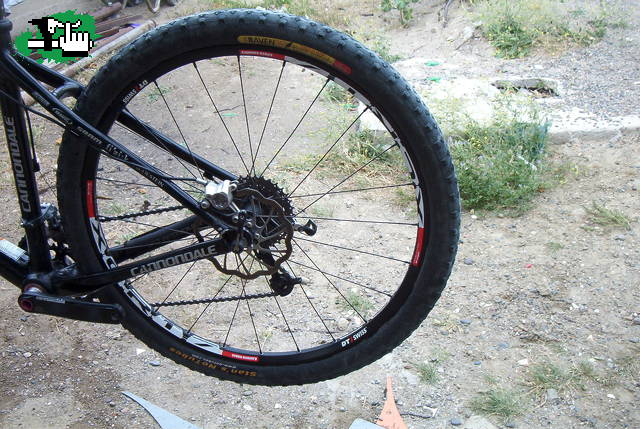 RUEDAS DT SWISS xcr 1.7 Tubeless 24 rayos + Cubiertas Stans Notubes ...